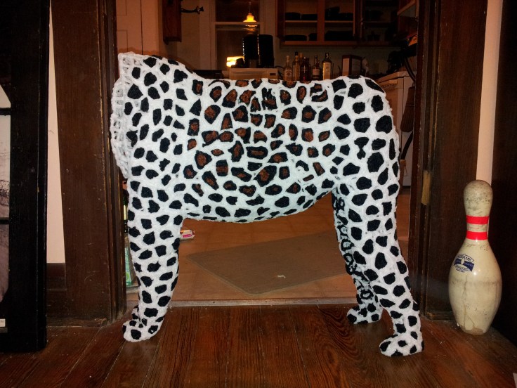 Leopard – A Detailed Guide (400 hour project) with step by step ...