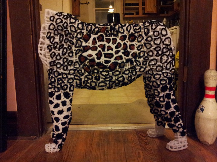 Leopard – A Detailed Guide (400 hour project) with step by step ...