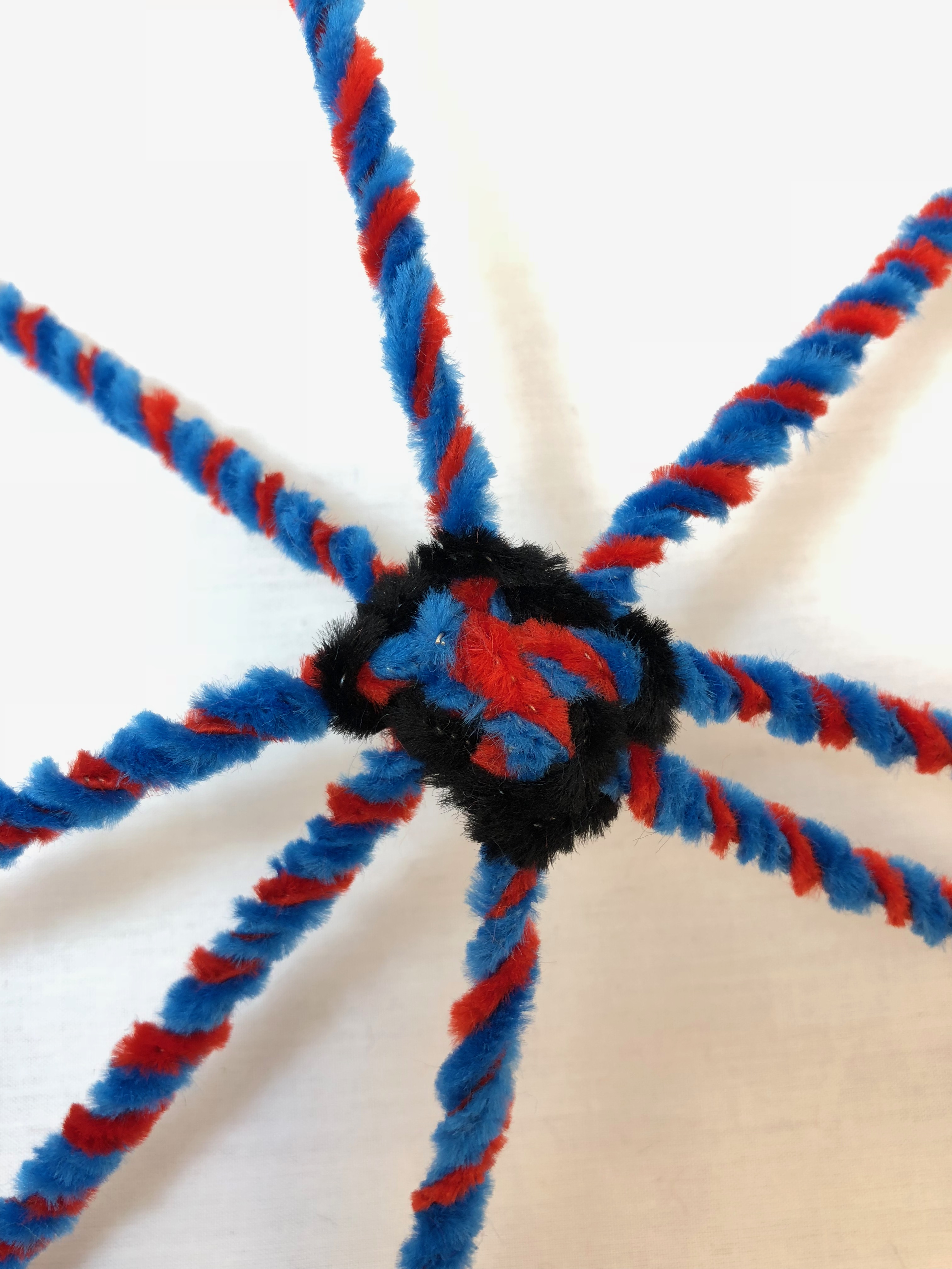 Easy Pipe Cleaner Spider – 20 Minute Step By Step Instructions ...