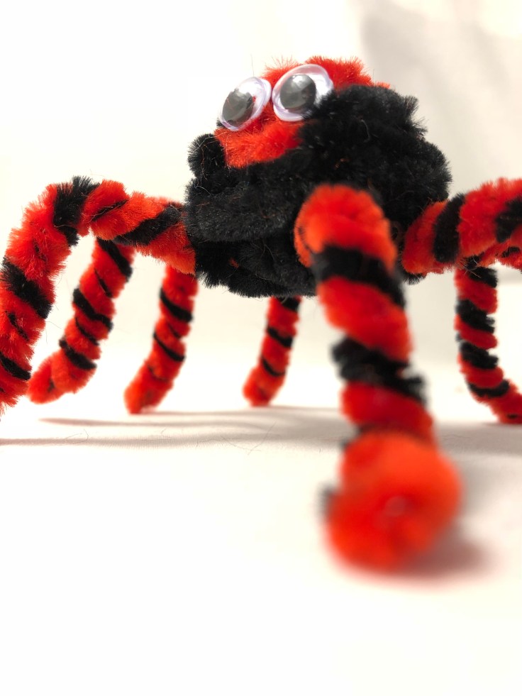 pipe cleaner spider close – Pipe Cleaner Animals