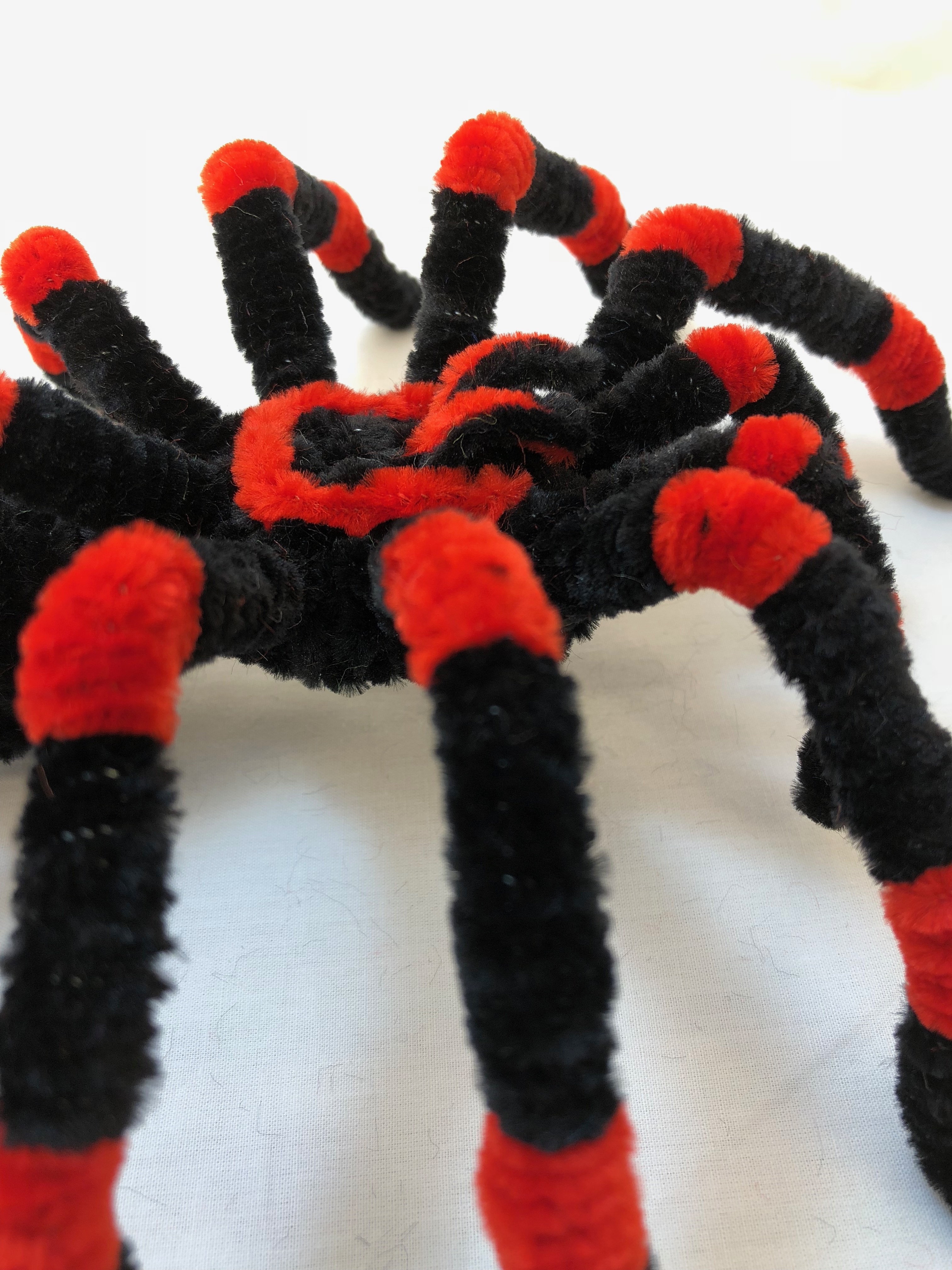 pipe cleaner tarantula side view close – Pipe Cleaner Animals