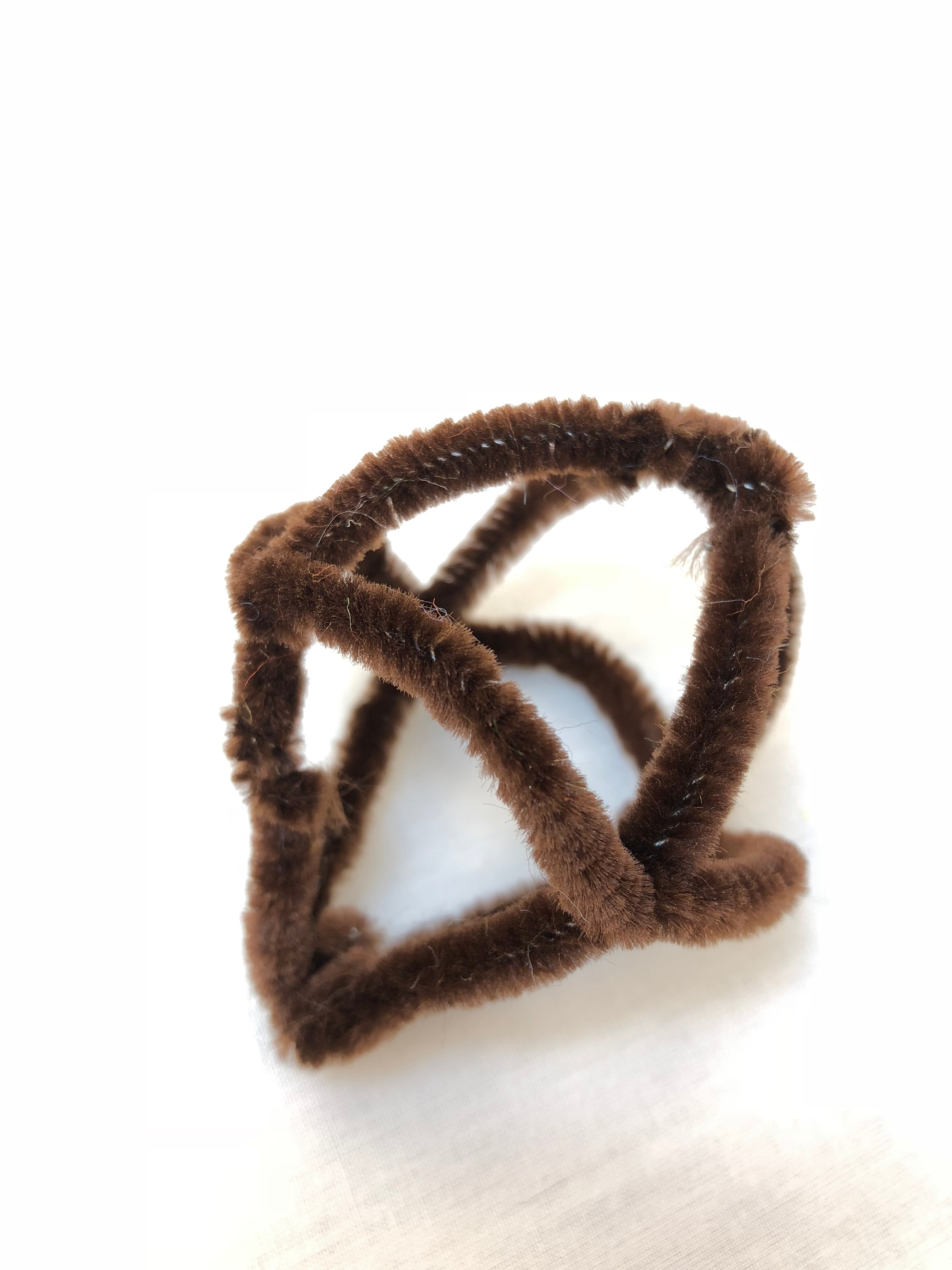 Pipe Cleaner kiwi bird – Easy step by step instructions with pictures ...