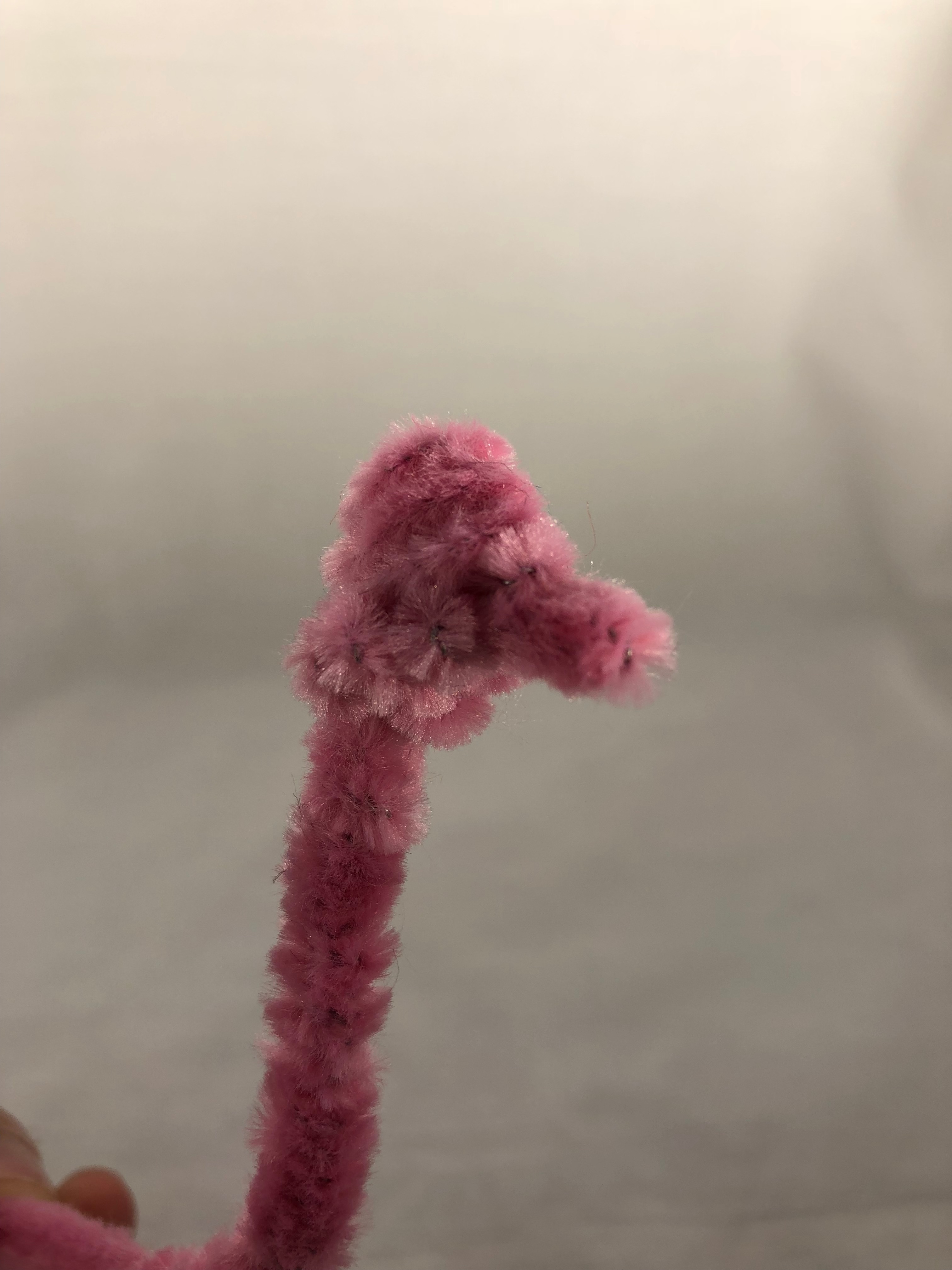 IMG_1851 – Pipe Cleaner Animals